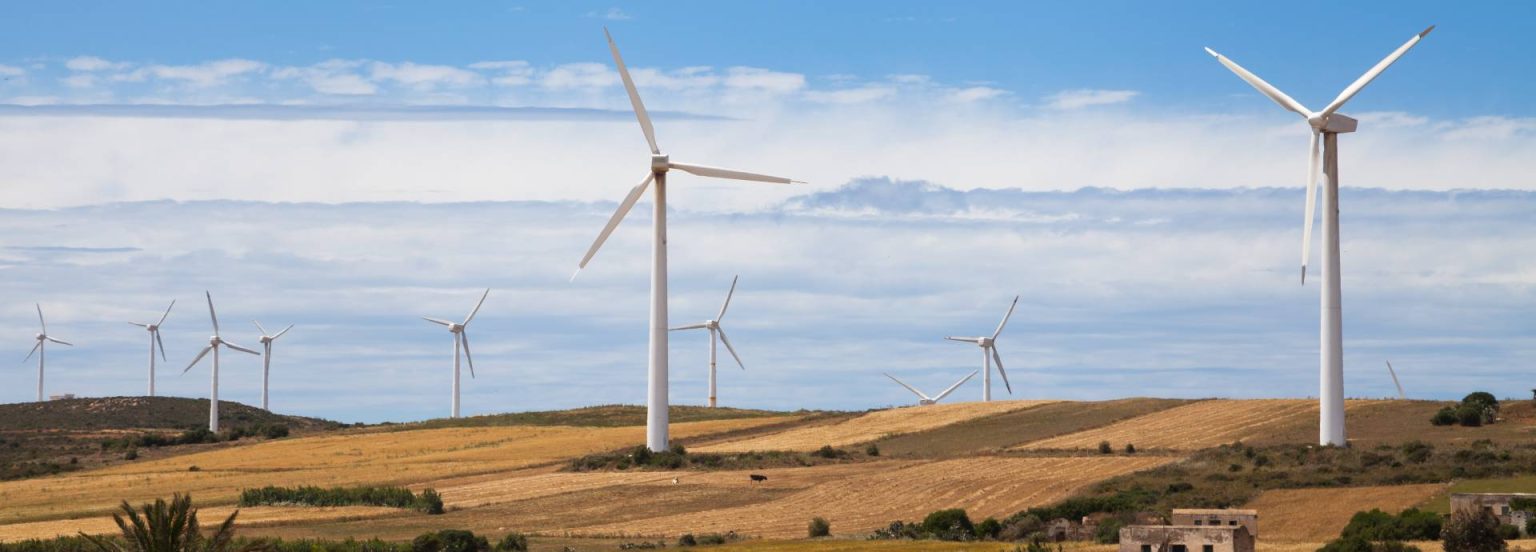 Cap Bon – Guida turistica di gruppo DERTOUR Tunisia continentale